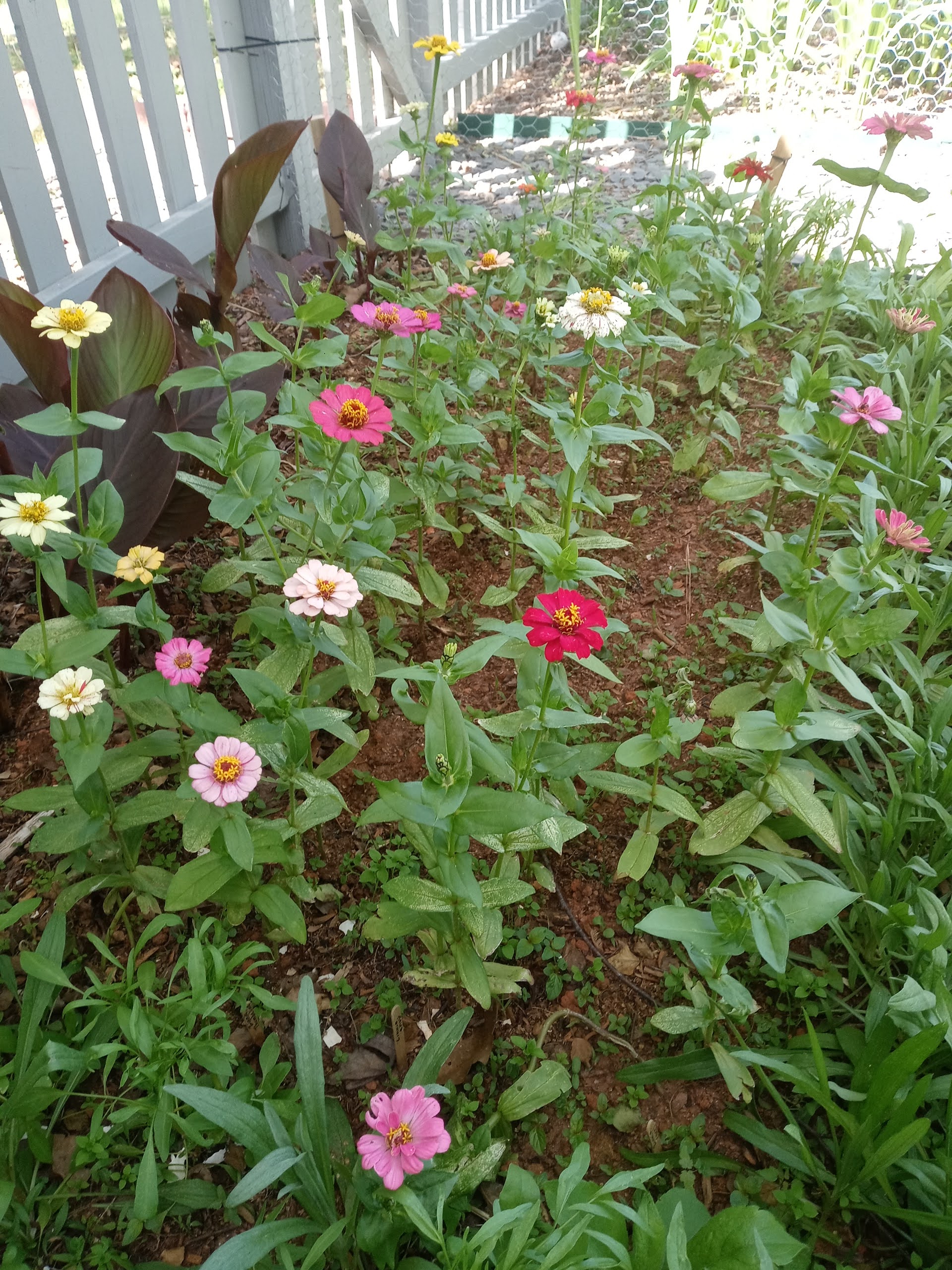 June Hops and Happenings – OVC Designs